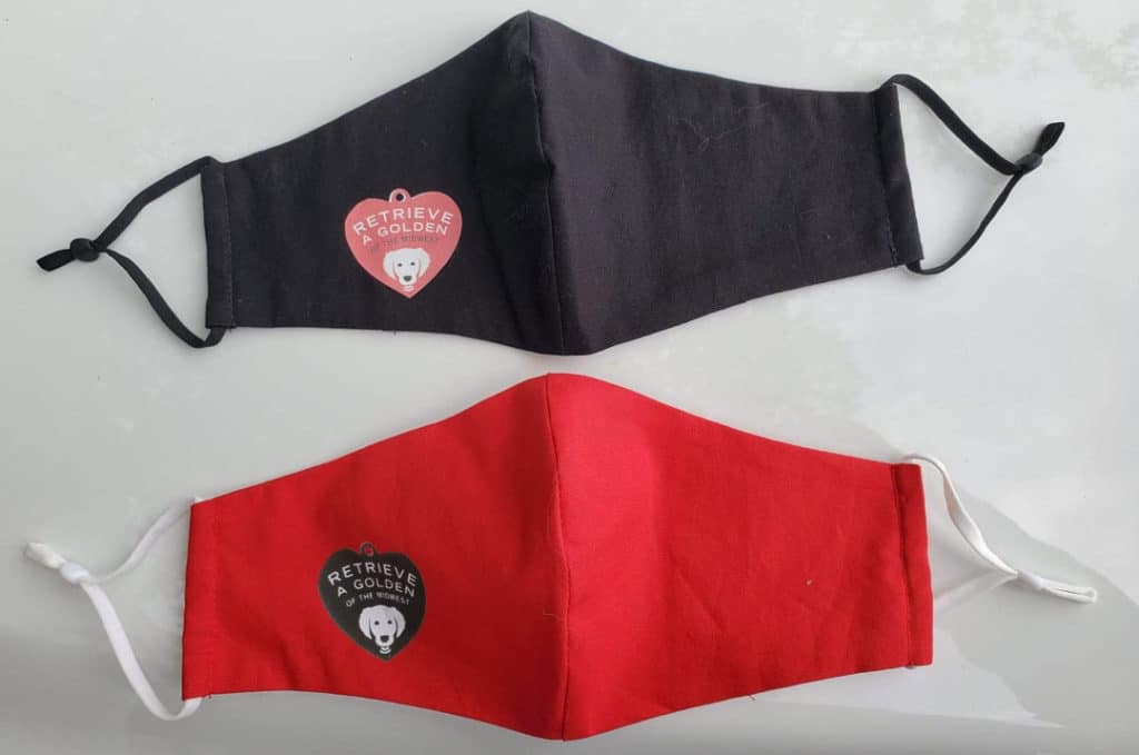 Retrieve a Golden of the Midwest | Every Dog Deserves a Golden Life