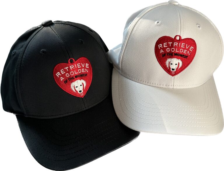 Retrieve a Golden of the Midwest | Every Dog Deserves a Golden Life