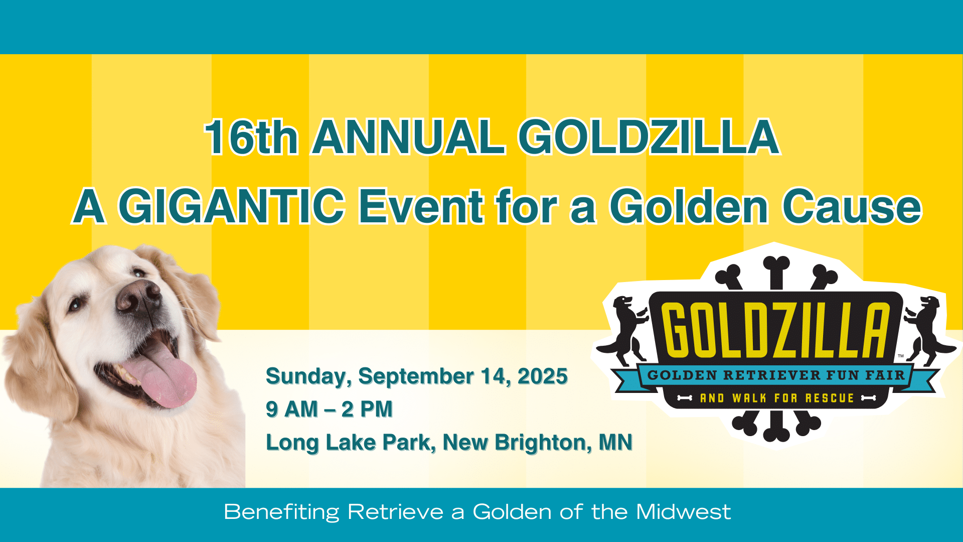 Retrieve a Golden of the Midwest | Every Dog Deserves a Golden Life